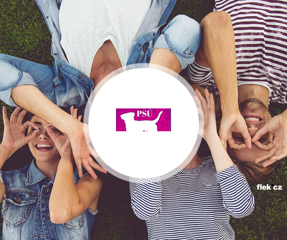 Venčení psů Praha 4, nabídka brigády Praha | Flek.cz